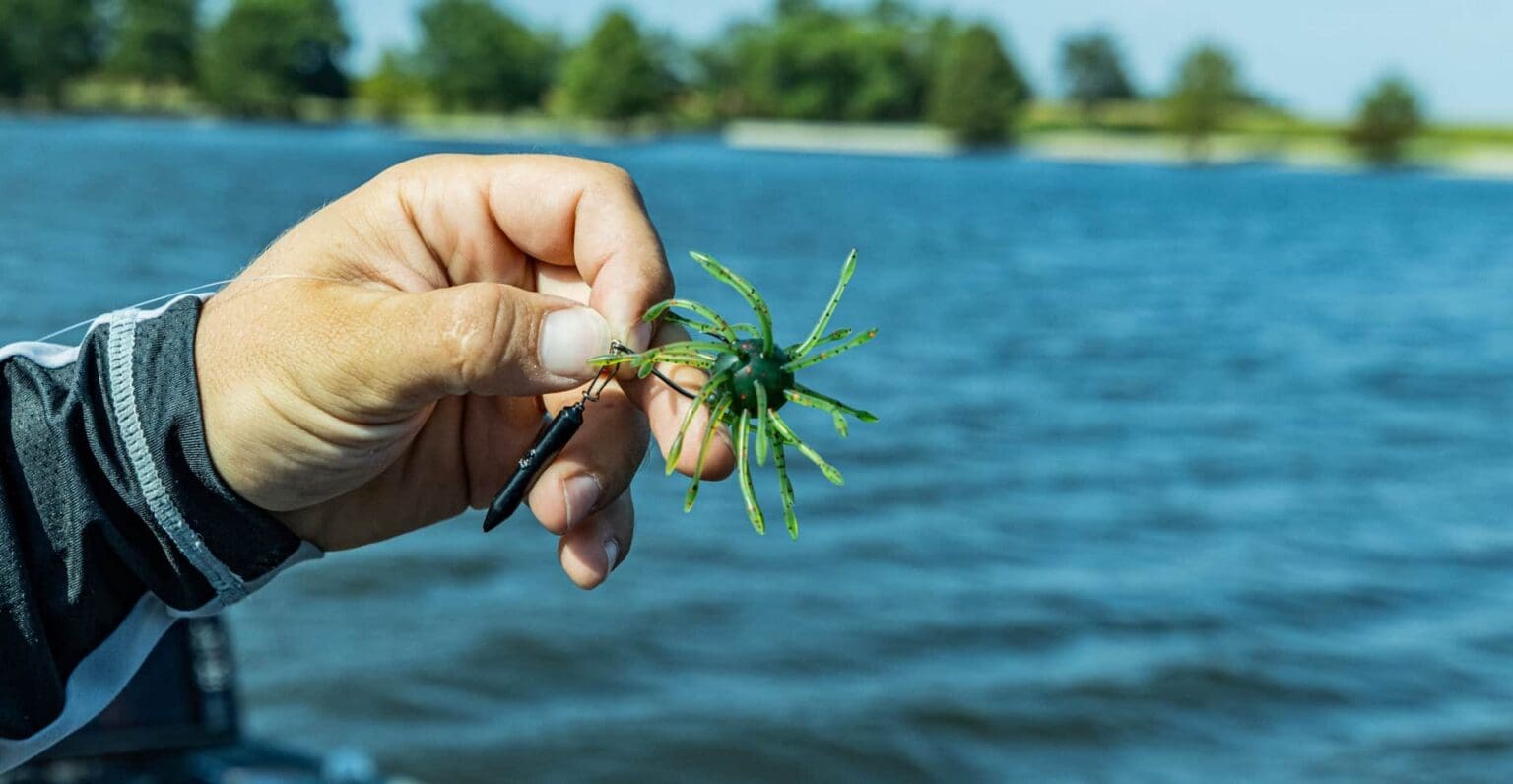 Yamamoto Baits - What You Fish Matters